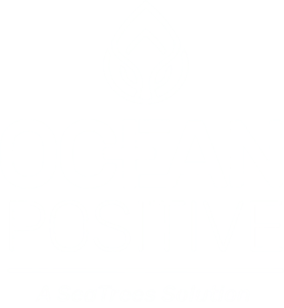 Lightweight Reef-Safe Face Sunscreen | Project Reef