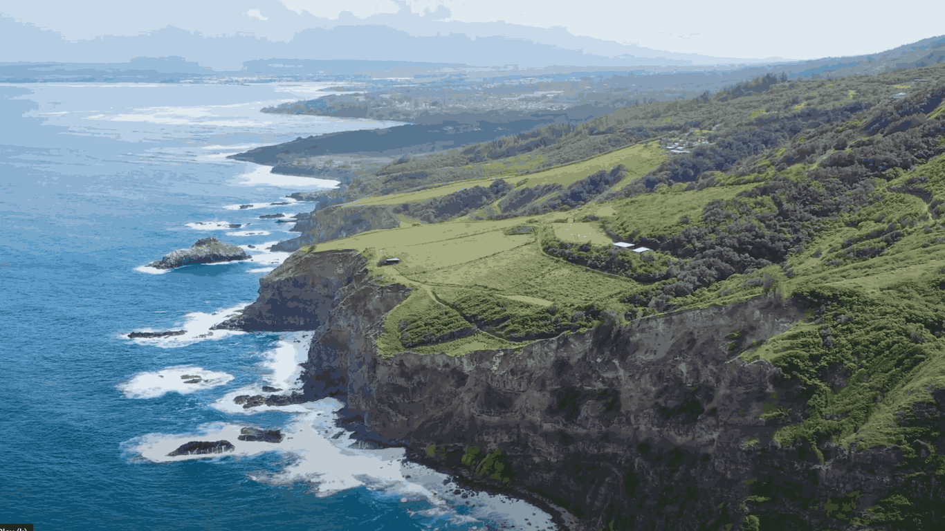 About Us – Project Reef